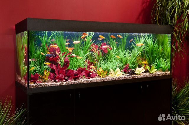 Нов акв с тумбой -металлокаркас 2х0.65х0.7м (900л)