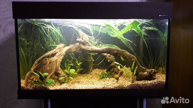 Аквариум AquaPlus, 120 л. + Тумба Aquael Aludecot