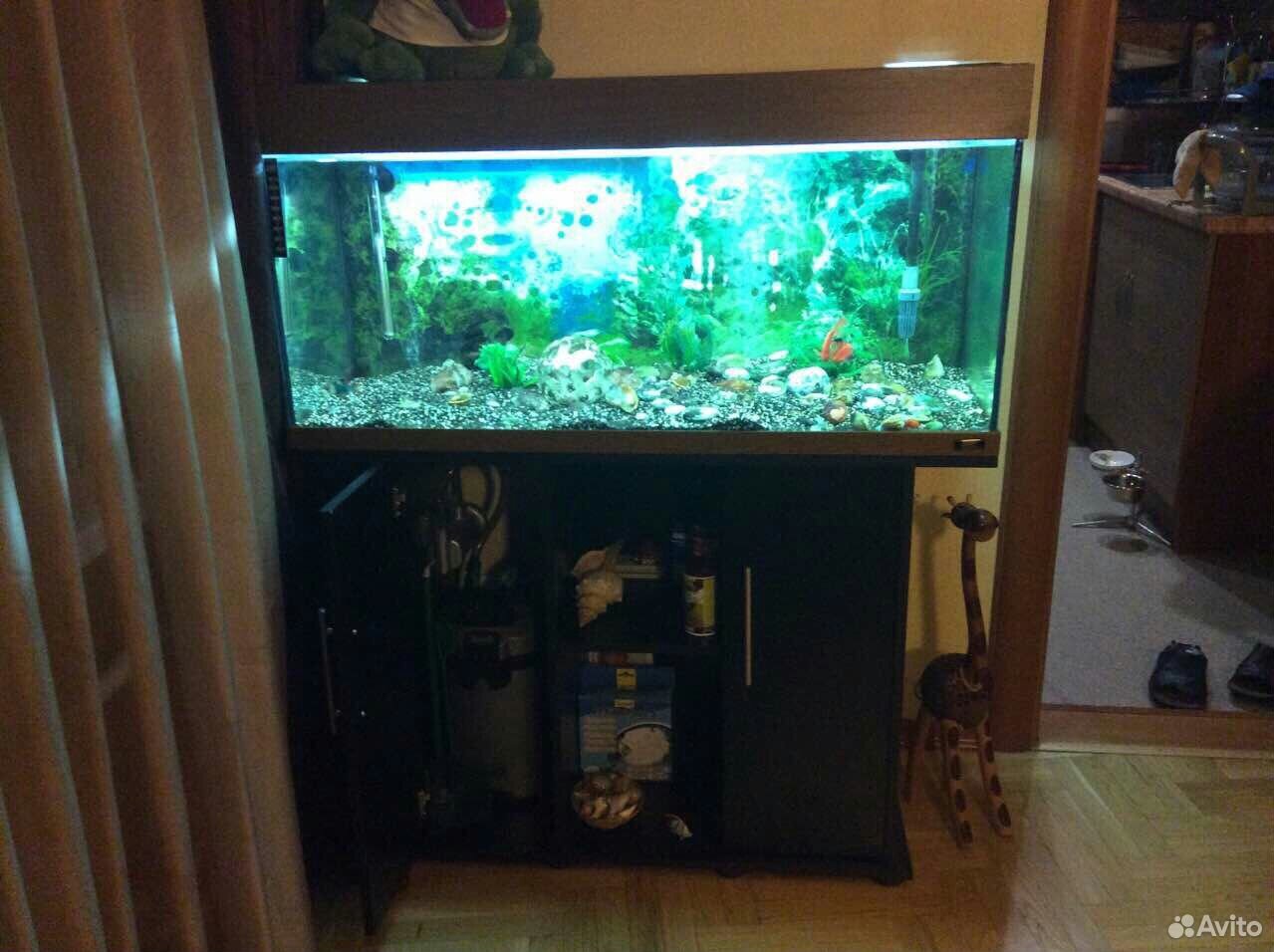 Аквариум