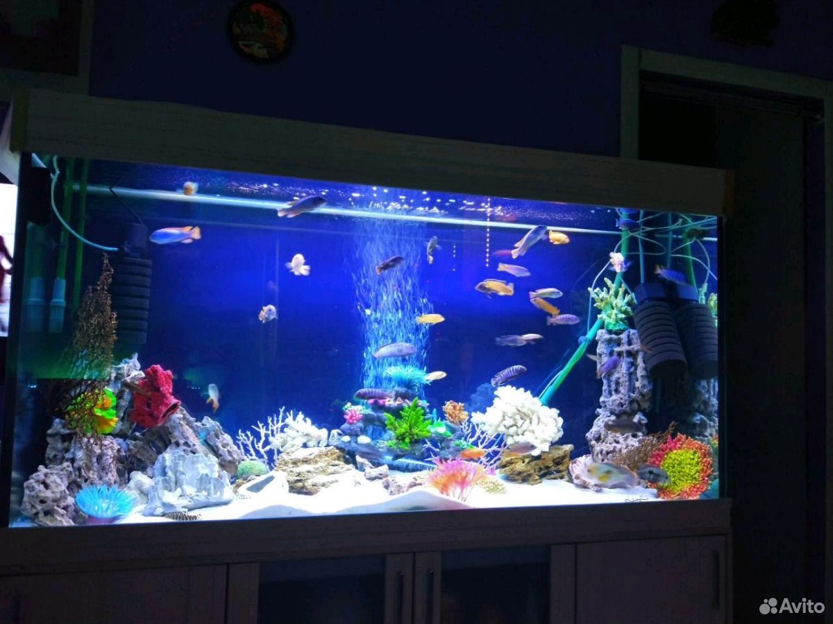 Аквариум 650л