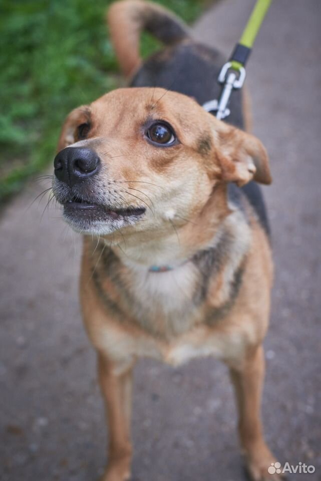 Джейда маленькая злюка