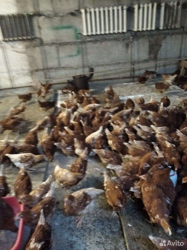 Настольные часы
