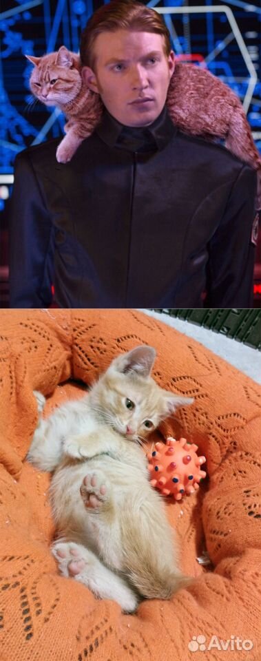 Будь как генерал Первого ордена