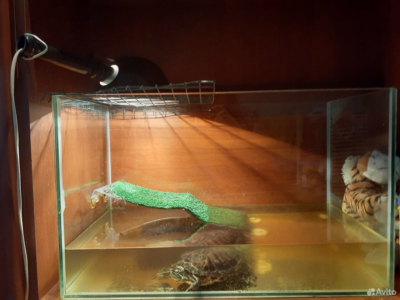 Два Аквариума+подарки