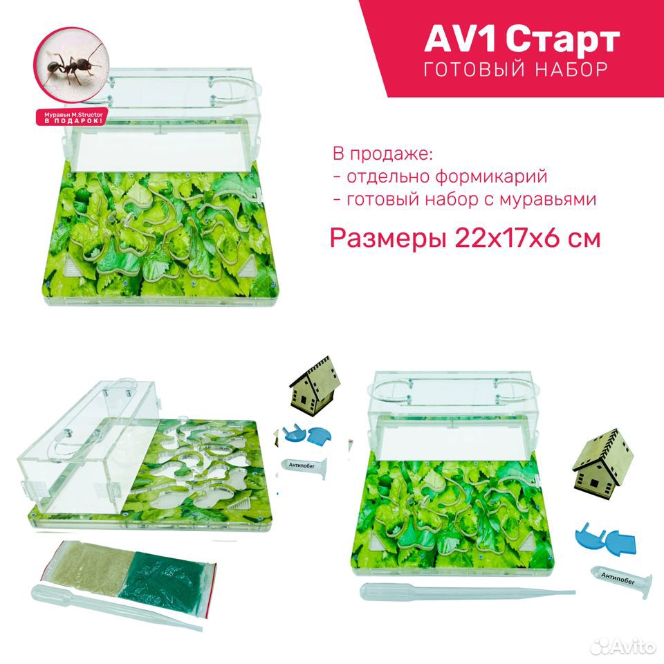 Муравьиная ферма "Зеленый лес"