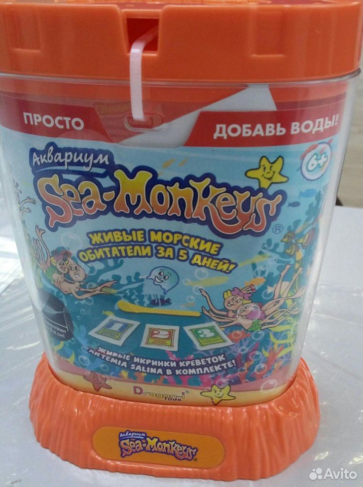 Аквариум для выращивания ракообразных artemia sali