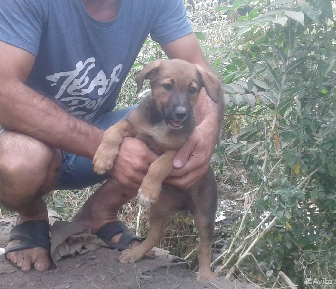 Манюня ищет семью