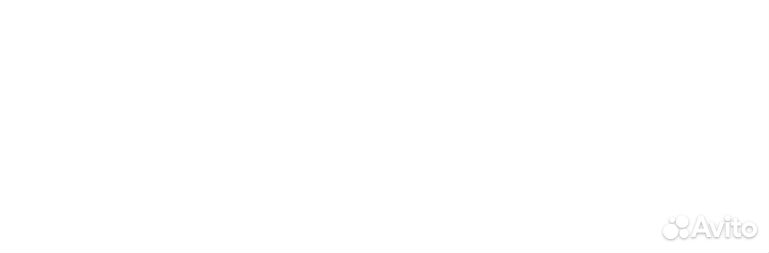 Молодки, петушки Австролорпы 3 мес