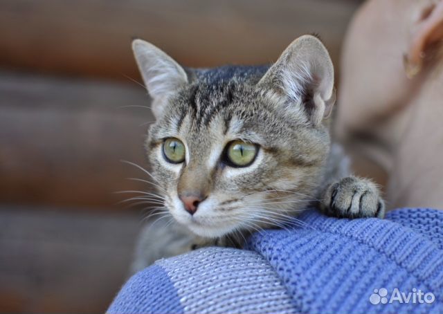 Космос