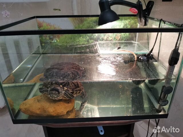 Черепашник Аквариум 75 литров