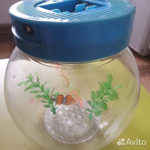 Декоративный аквариум