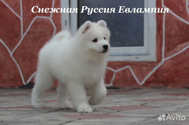 Девочка с тяжёлым костяком