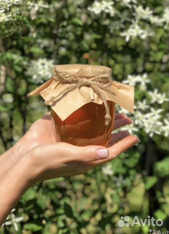 Пчелосемьи в хорошие руки