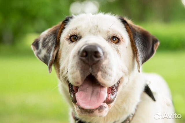 Оливер, 10 месяцев