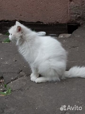 Просто красавица