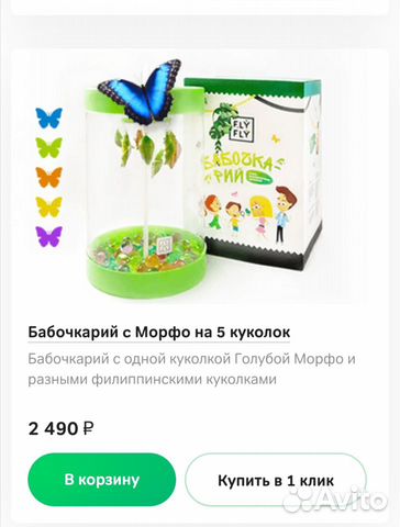 Куколки бабочки