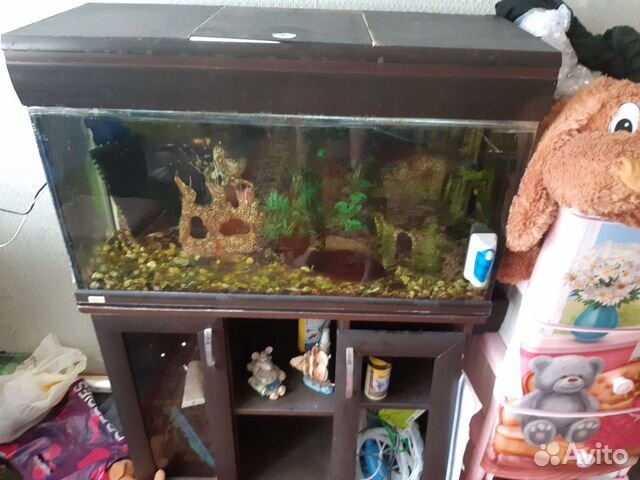 Аквариум с тумбой 100 литров
