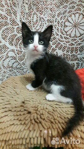 Шикарный маркиз