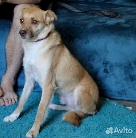 Тяпа ищет дом