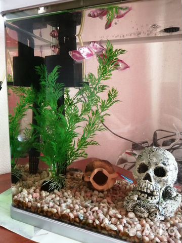 Аквариум 19 л