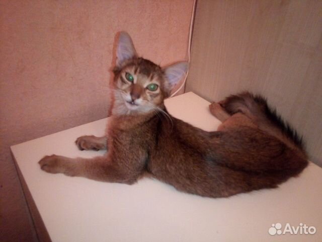 Сомалийский мальчик