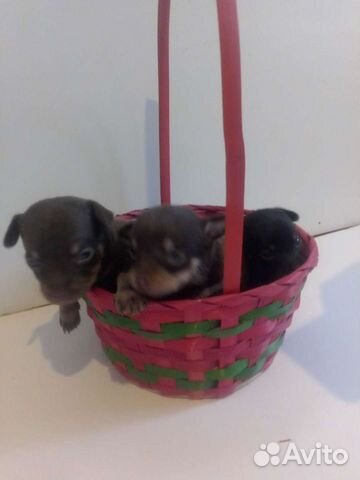 Мини тойчики