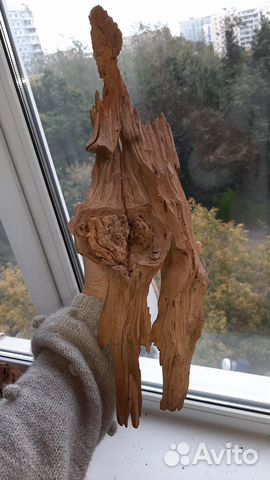 Коряга дуб лоза