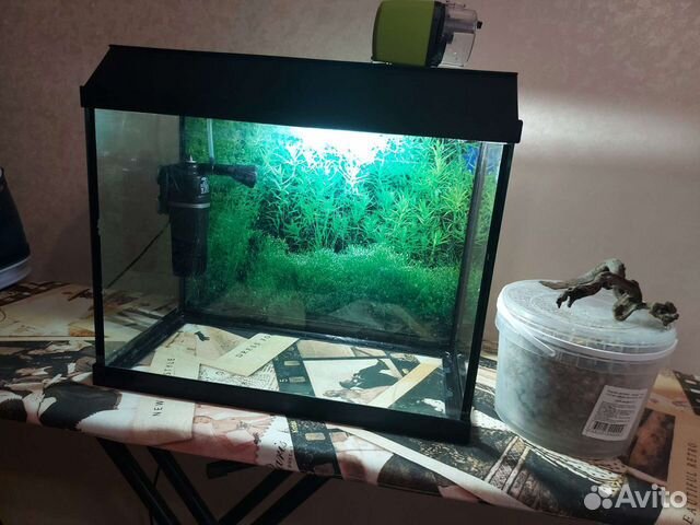 Аквариум