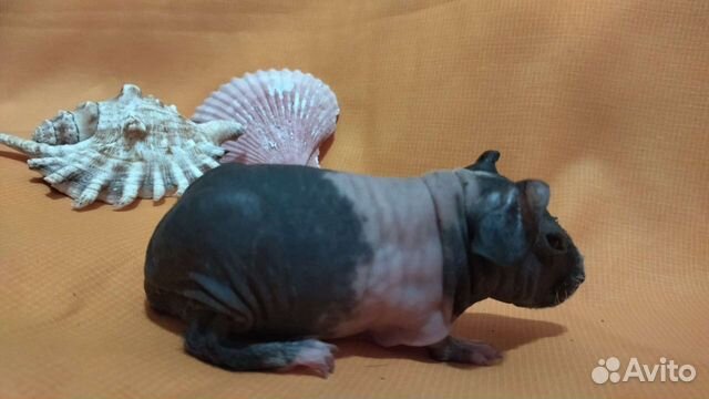 Яркие малыши скинни