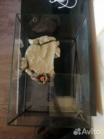 Аквариум для черепах и подогрев для воды