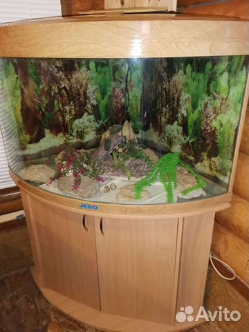 Аквариум