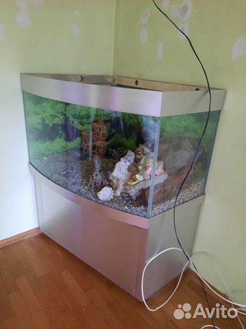 Аквариум juwel vision 500