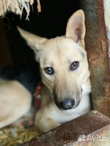 Ты можешь меня спасти