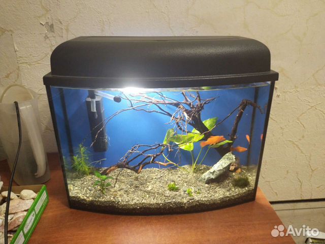 Аквариум около 20 литров