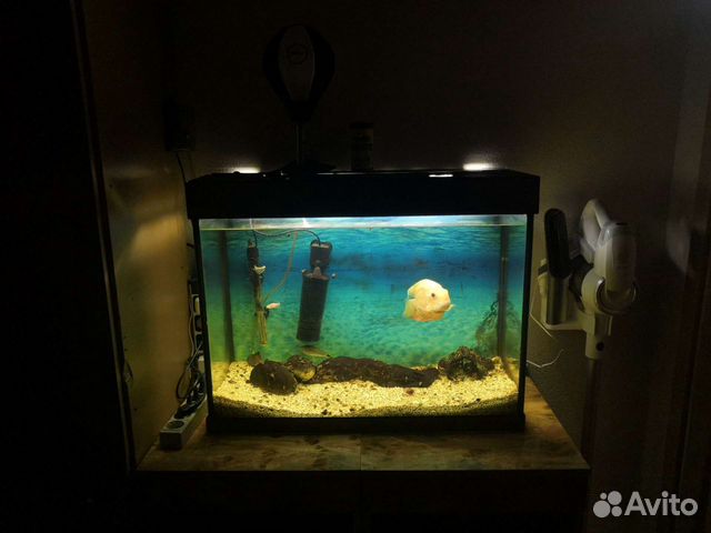 Аквариум, 90л полный комплект