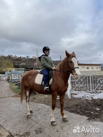 Продам кобылу