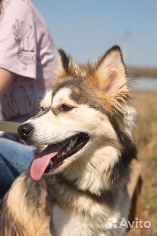 Красотка Хася