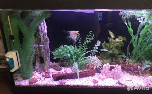 Аквариум с тумбой