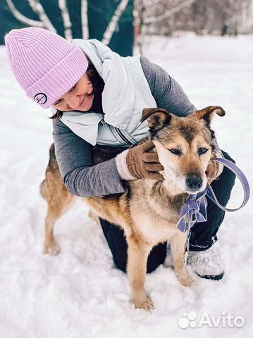 Собака 6 лет сидела в клетке 2*2