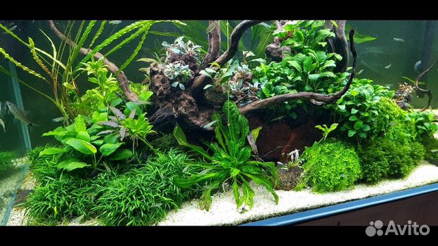 Аквариум оформление под ключ