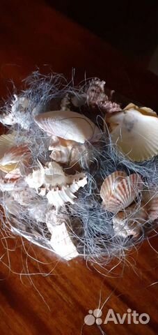 Набор ракушек для аквариума или оформления витрины