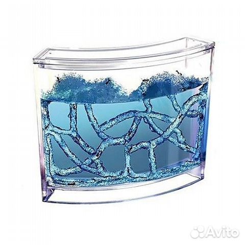 Муравьиная ферма