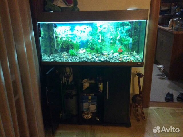 Аквариум