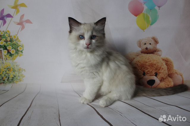 Котёнок тряпичная кукла