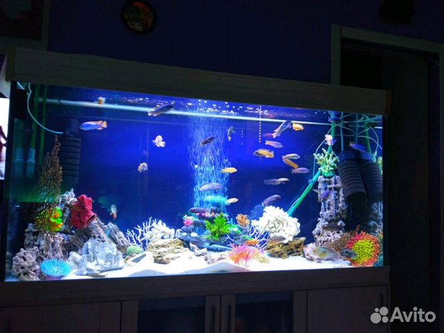 Аквариум 650л