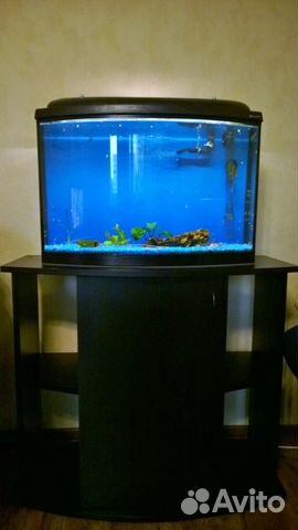 Продам аквариум