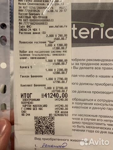 Готовый Террариум Exo-Terra + бананоед