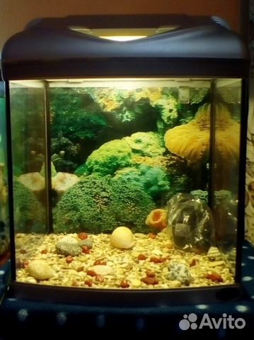 Аквариум hailea B30