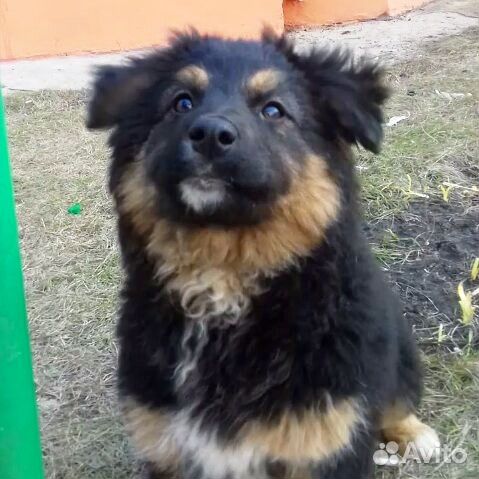 Меховой медвежонок Мишель