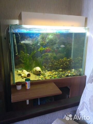 Аквариум
